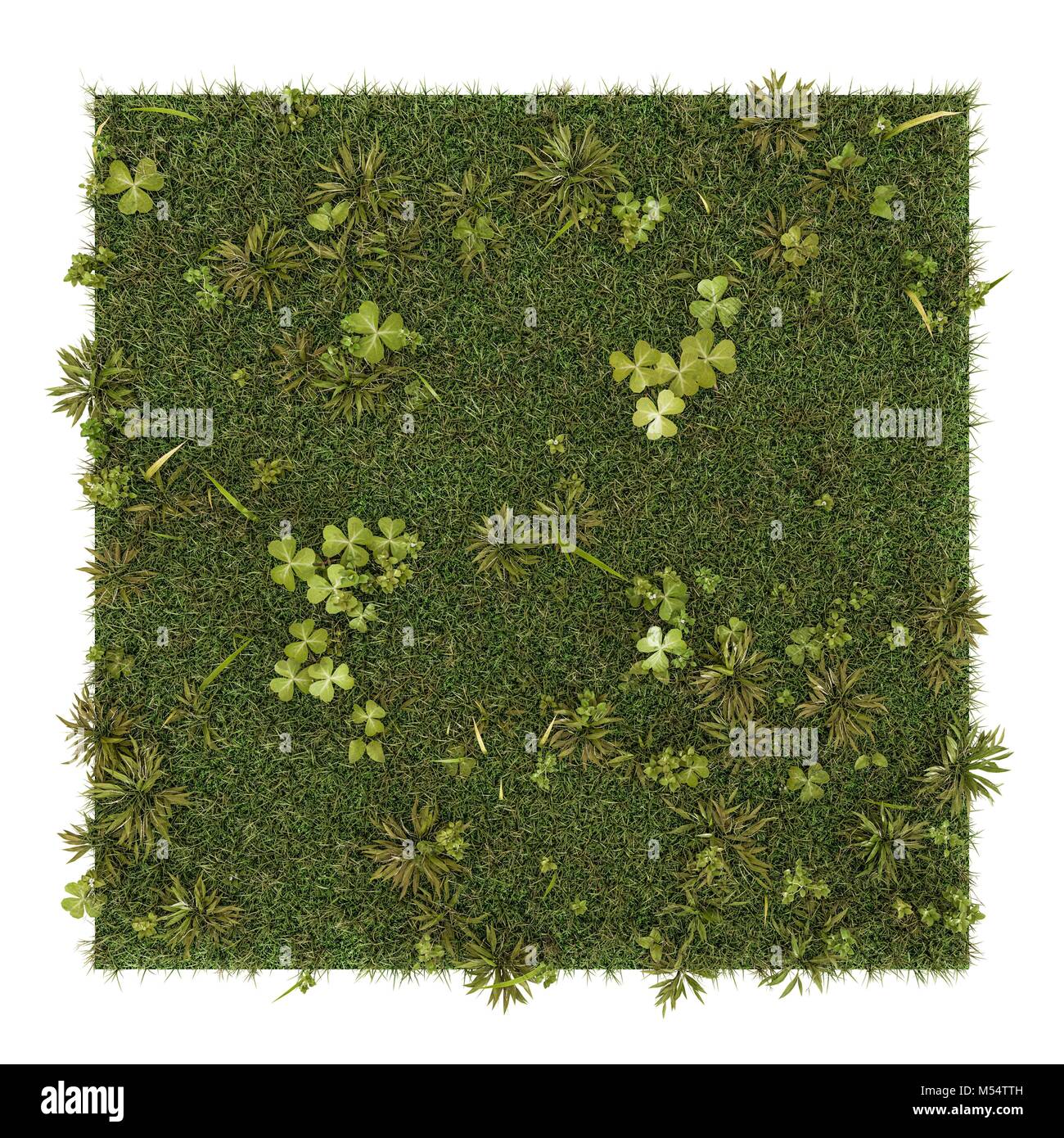 3d illustration of a squared grass slice isolated on white background ...