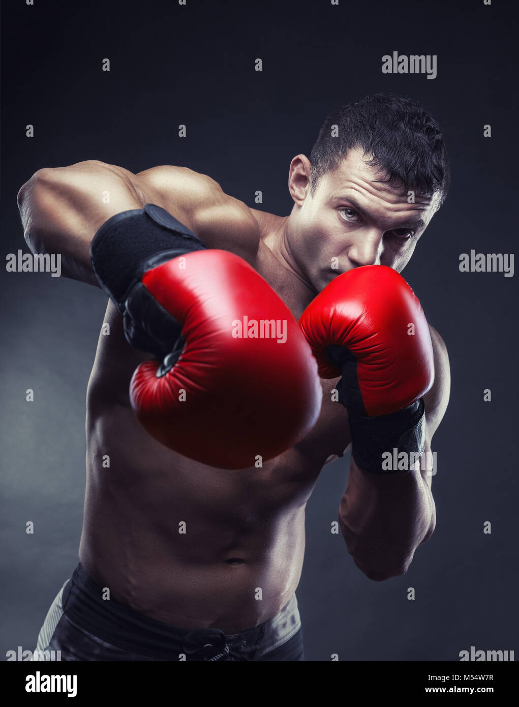 Boxer aggressive look boxing gloves hi-res stock photography and images ...