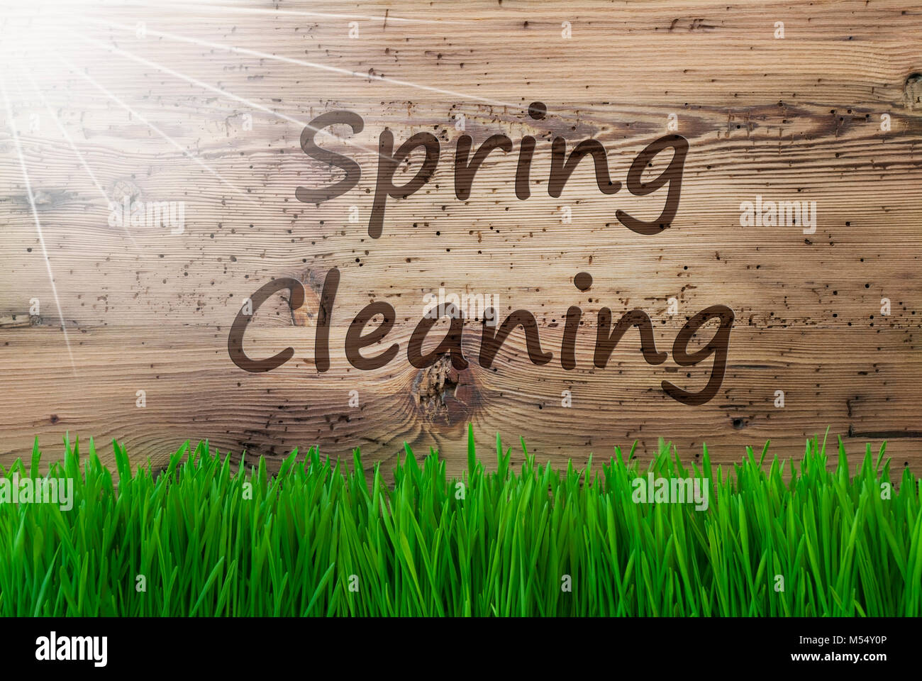 Sunny Wooden Background, Gras, Text Spring Cleaning Stock Photo - Alamy