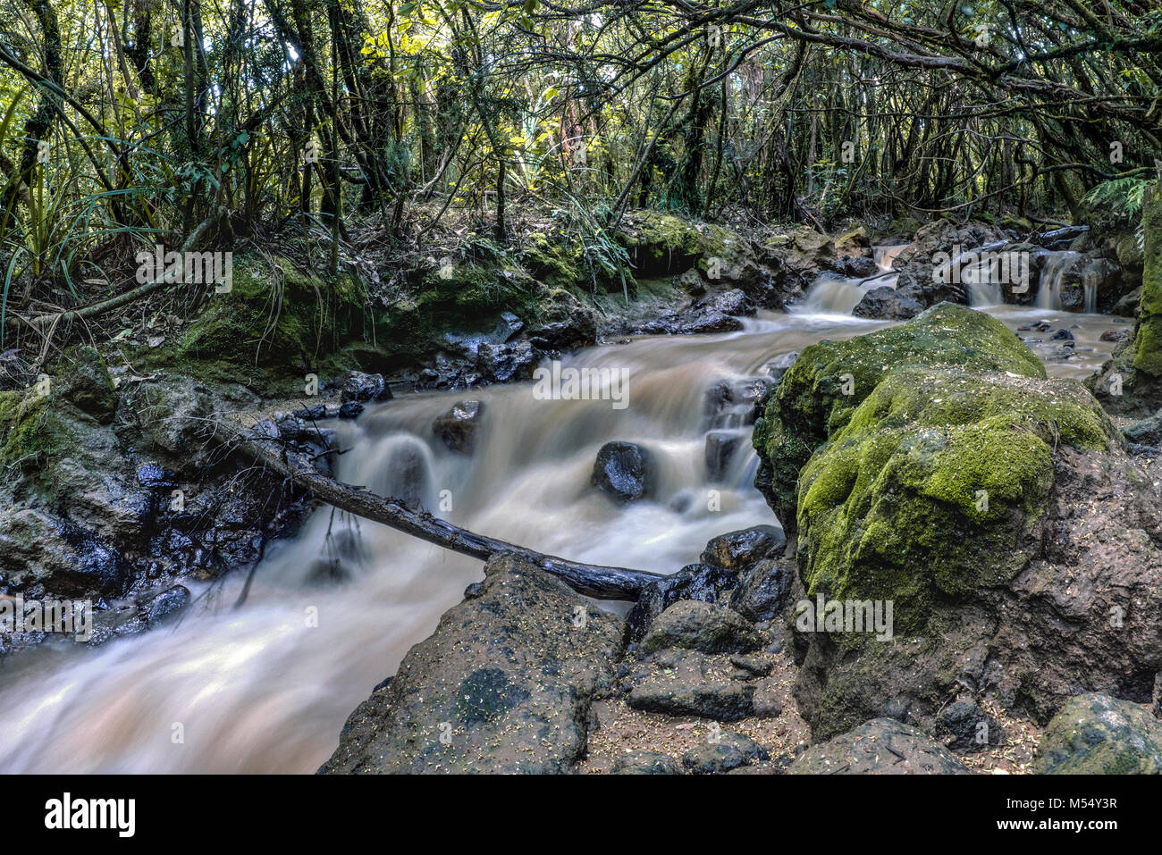 Fast Running River in a Tropical Forest Stock Photo - Alamy