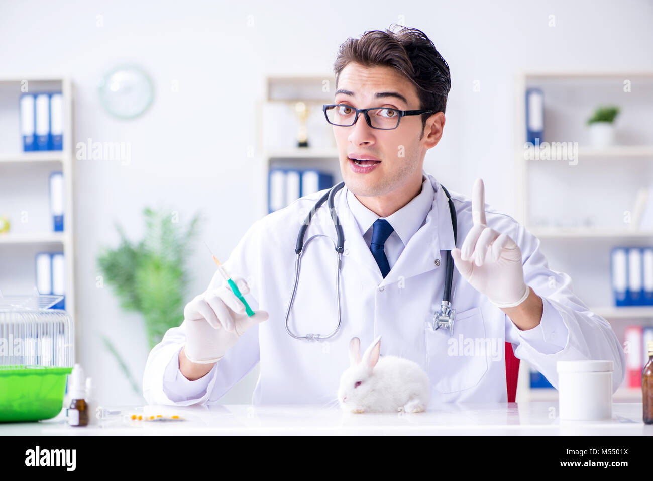 The vet doctor examining rabbit in pet hospital Stock Photo - Alamy