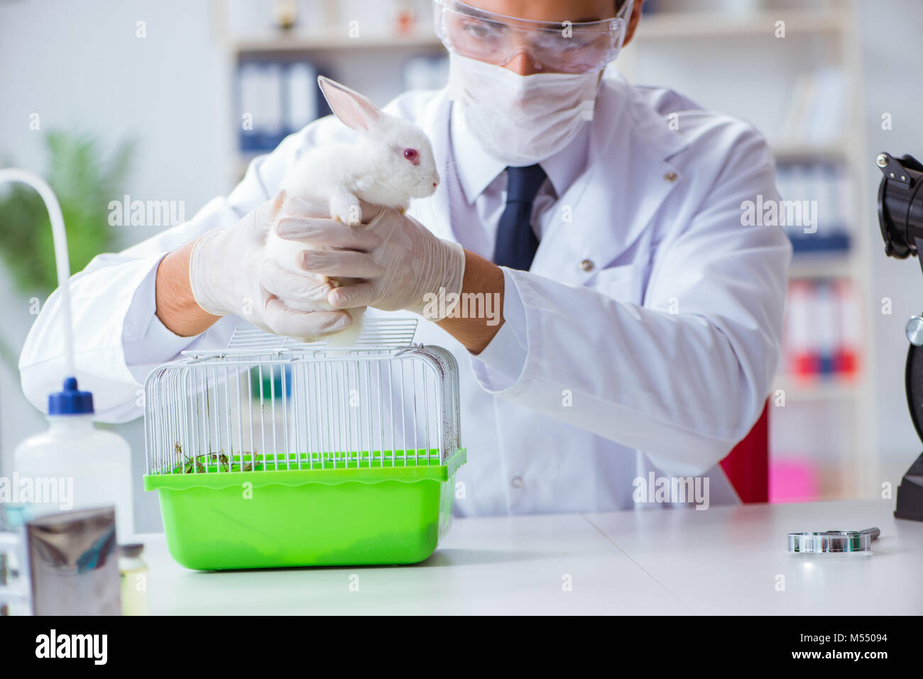 The vet doctor examining rabbit in pet hospital Stock Photo - Alamy