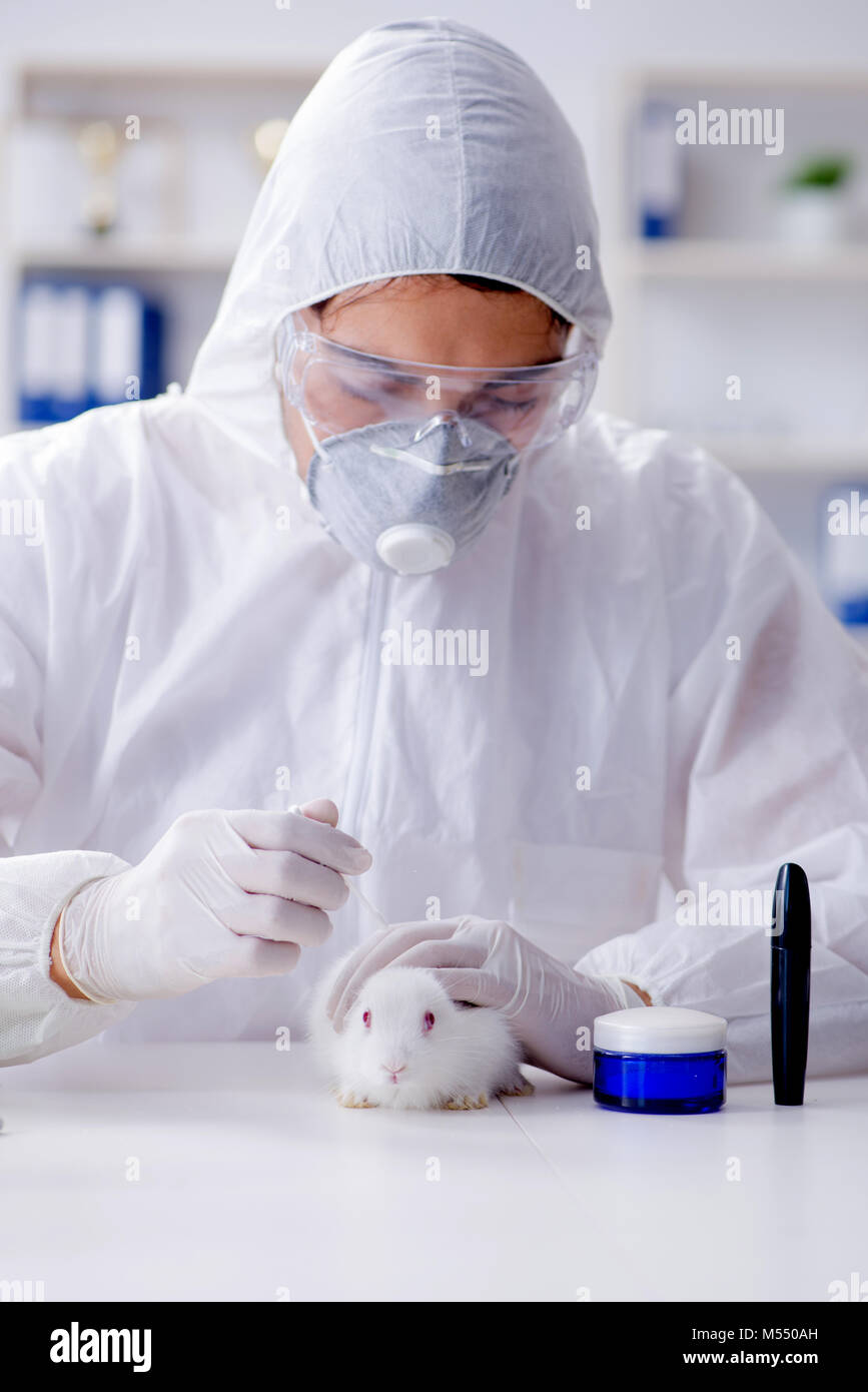The scientist doing animal experiment in lab with rabbit Stock Photo ...