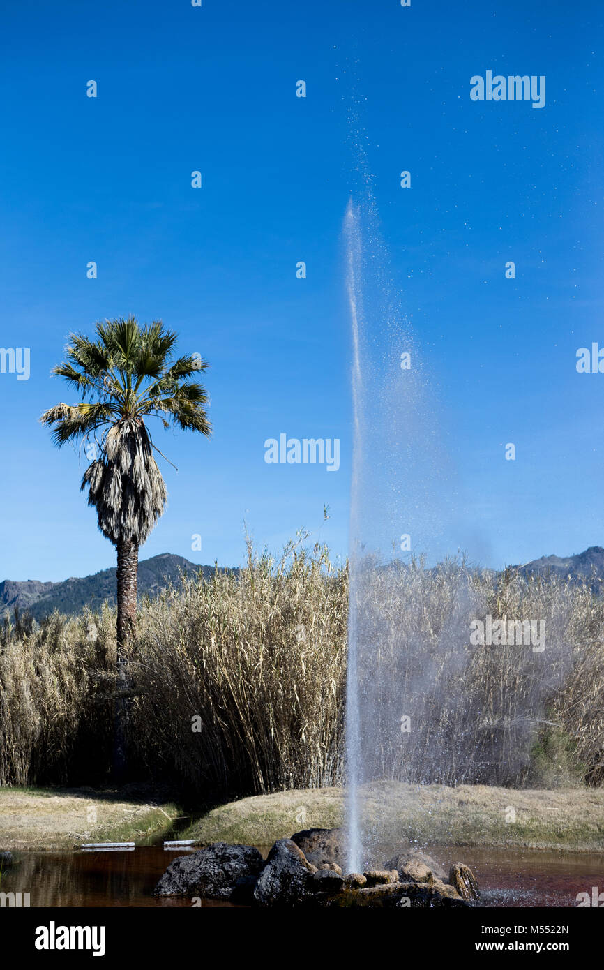 Old Faithful Geyser of California, Calistoga, California Stock Photo ...