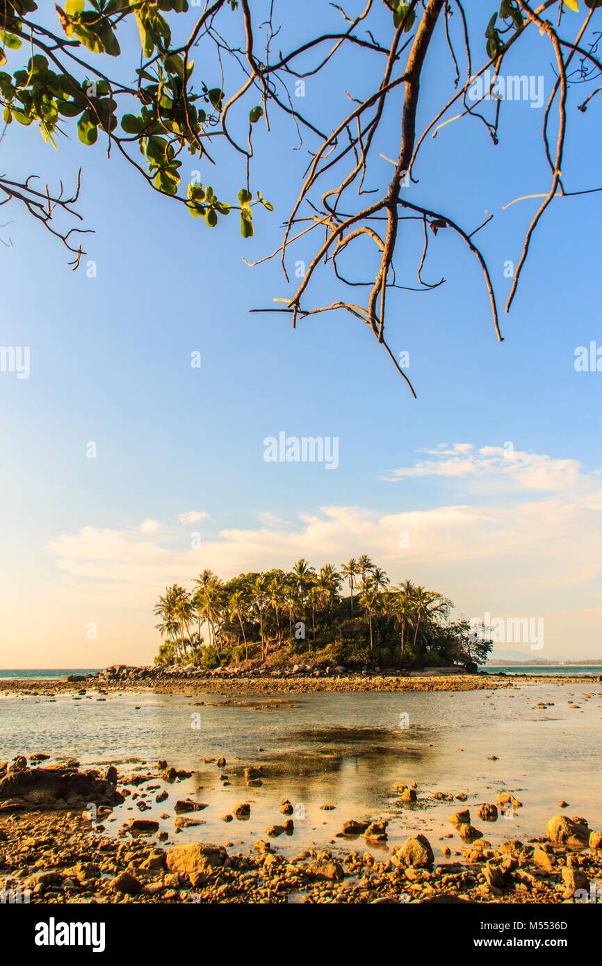 Lonely remote island with rock beach and tree when the sea water ...