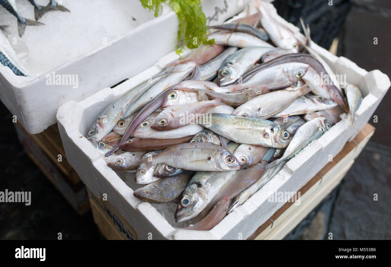 Pesce m hi-res stock photography and images - Alamy
