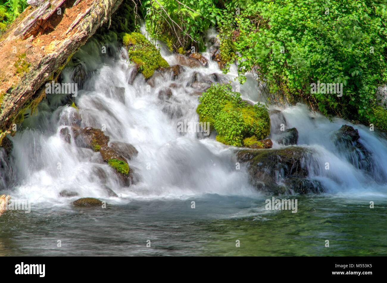 Cold springs pour into the Metolius River near Wizard Falls Stock Photo ...