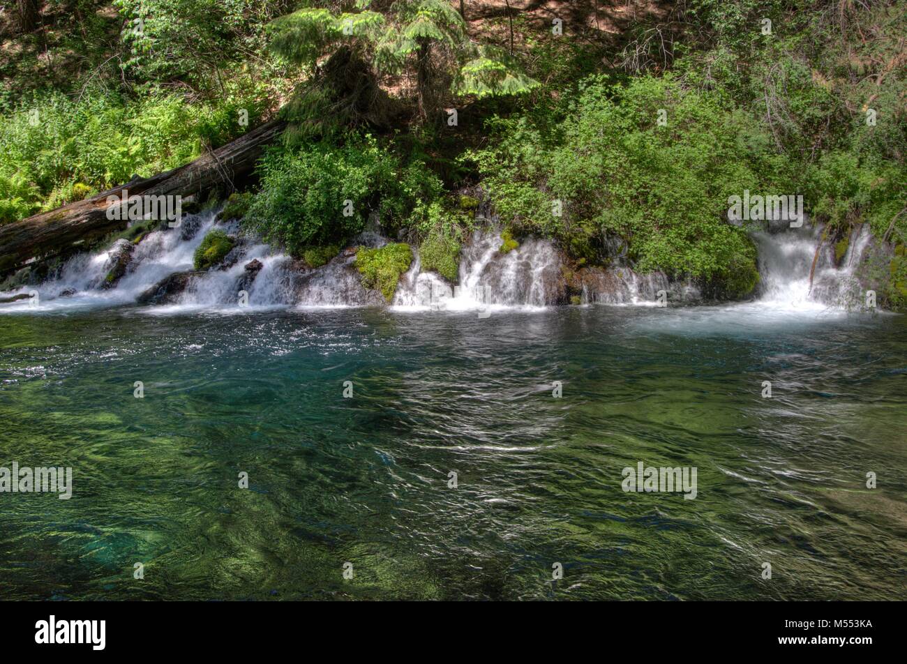 Cold springs pour into the Metolius River near Wizard Falls Stock Photo ...