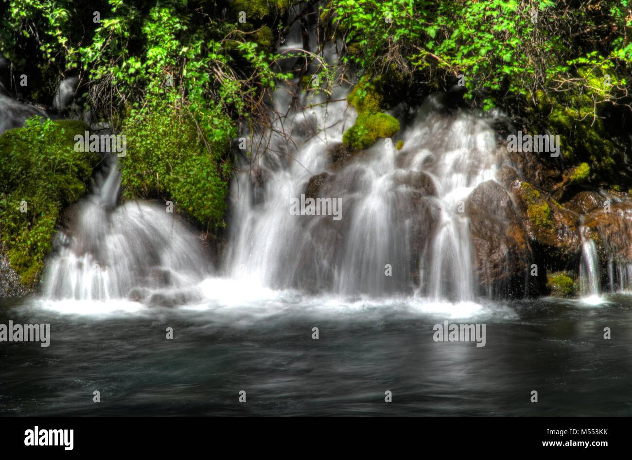 Cold springs pour into the Metolius River near Wizard Falls Stock Photo ...