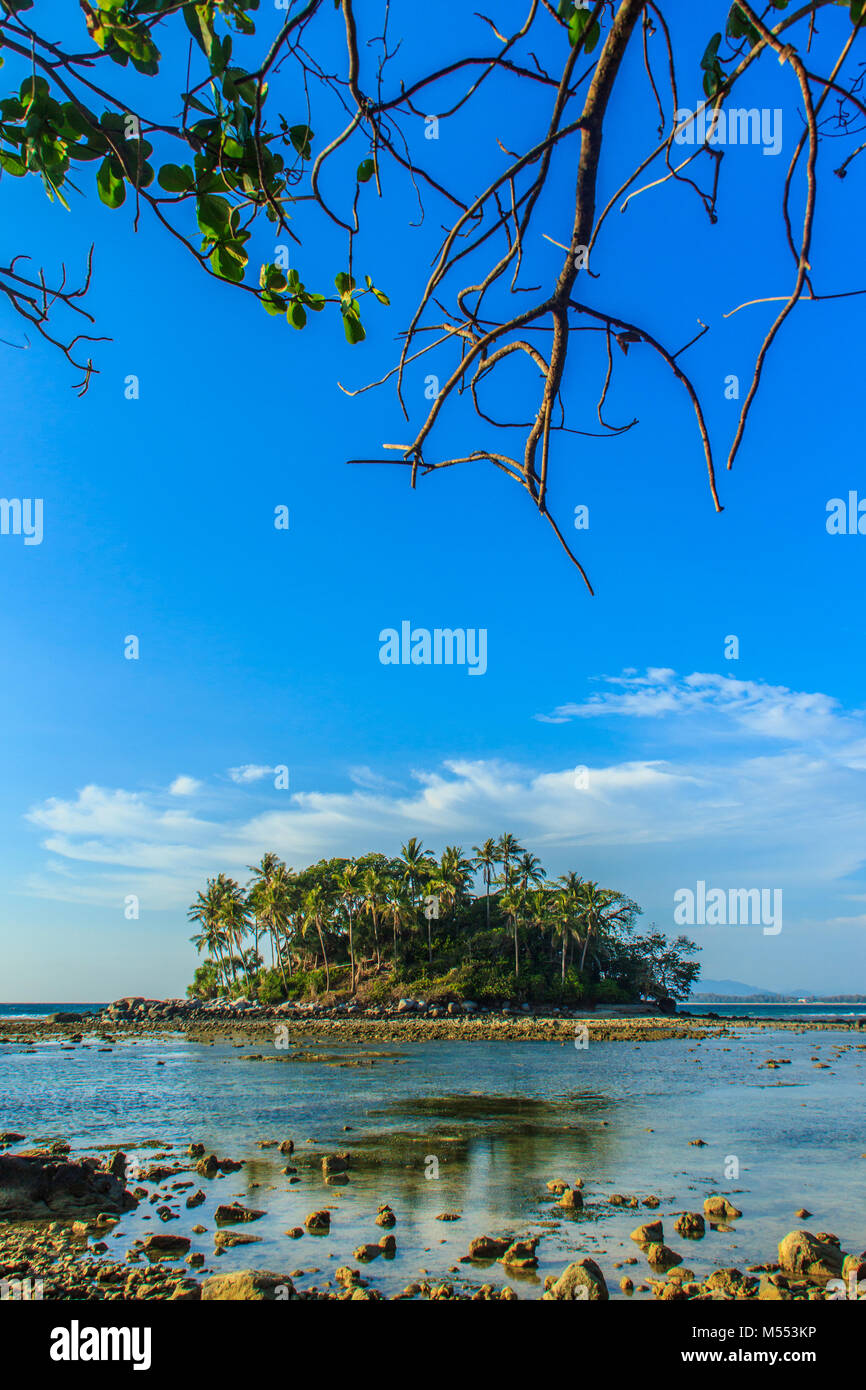 Lonely remote island with rock beach and tree when the sea water ...