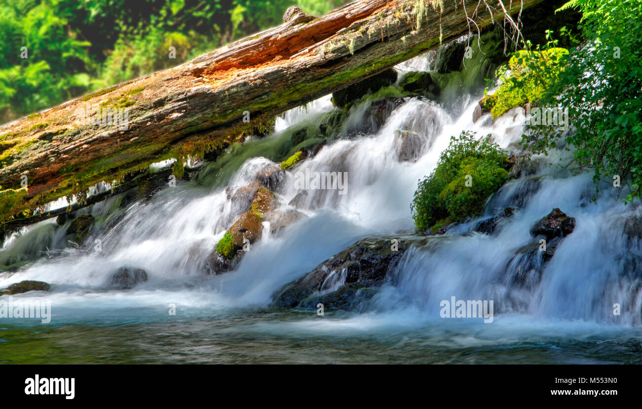 Metolius Springs High Resolution Stock Photography and Images - Alamy