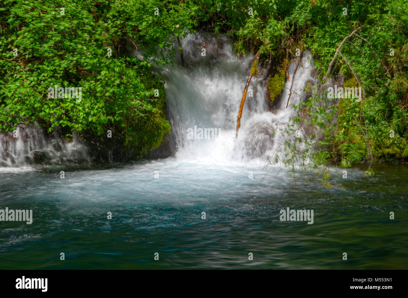 Cold springs pour into the Metolius River near Wizard Falls Stock Photo ...