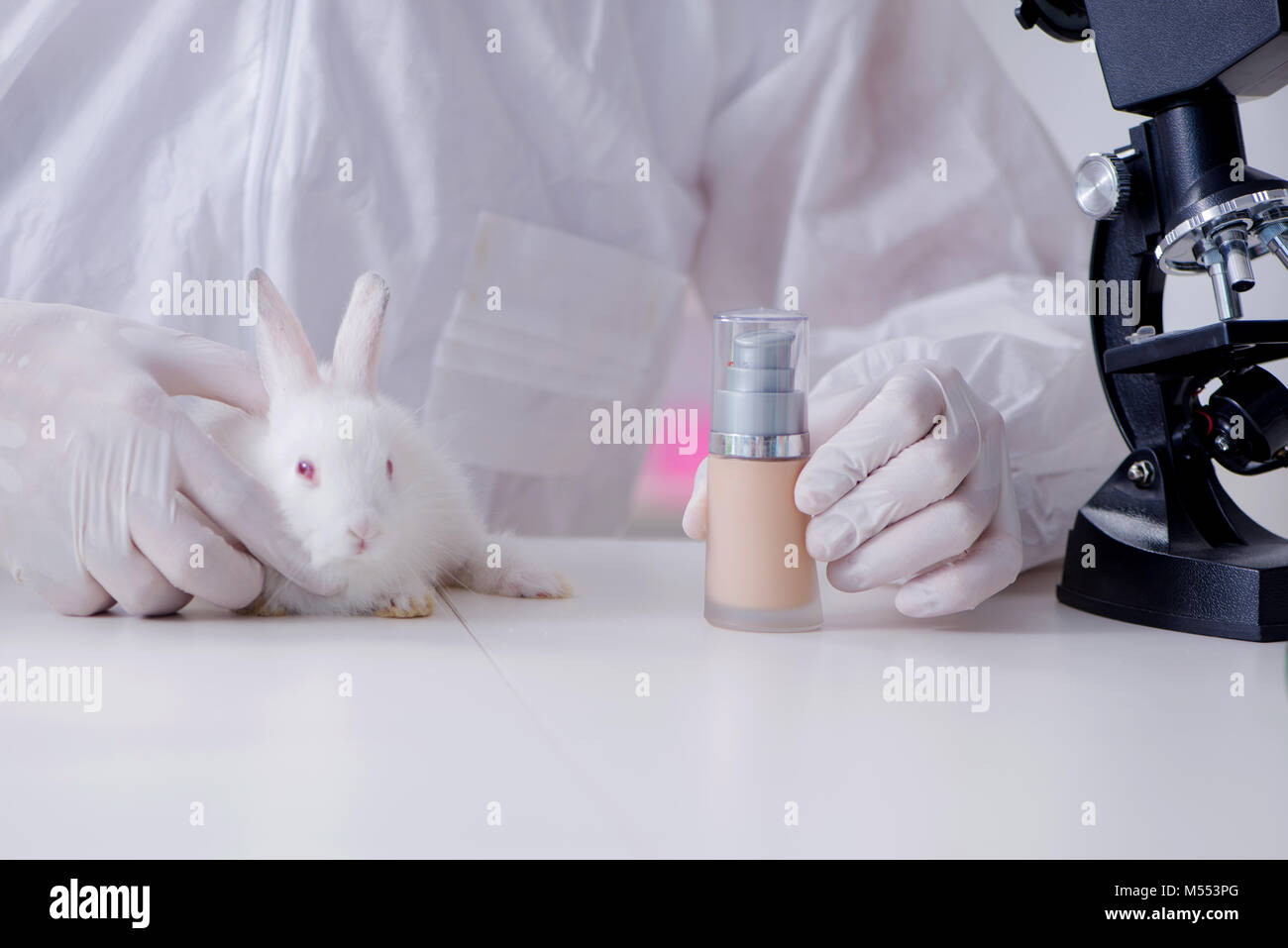 Scientist doing animal experiment in lab with rabbit Stock Photo - Alamy