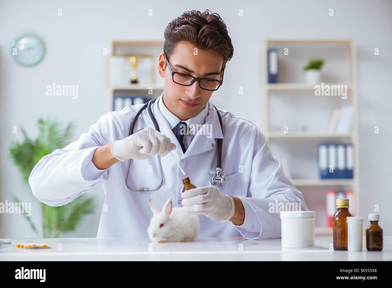 Vet doctor examining rabbit in pet hospital Stock Photo - Alamy