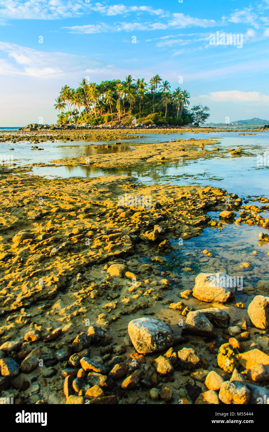 Lonely remote island with rock beach and tree when the sea water ...