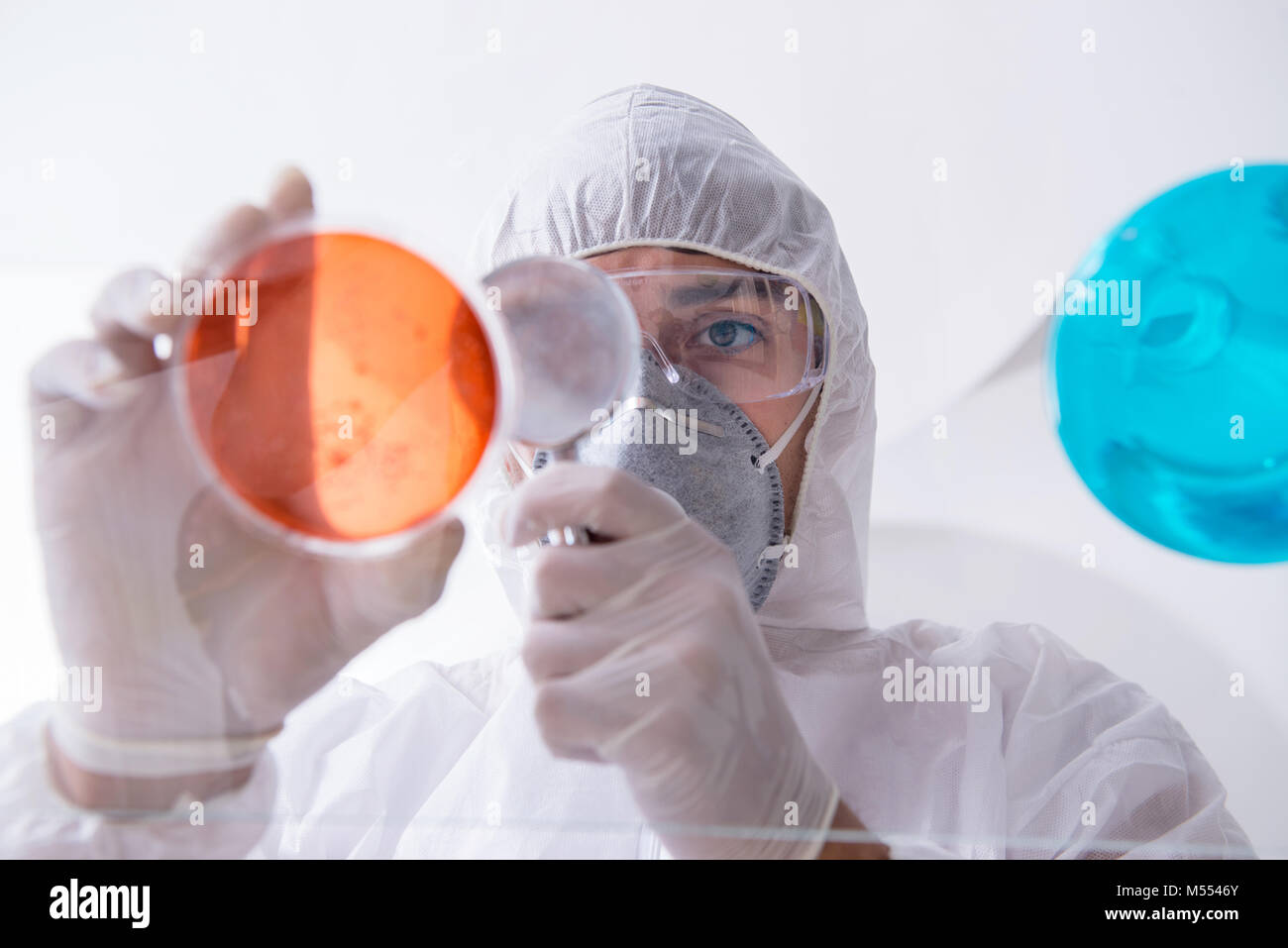 Chemist working in the laboratory with hazardous chemicals Stock Photo ...