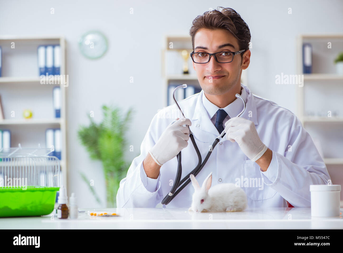 Vet doctor examining rabbit in pet hospital Stock Photo - Alamy