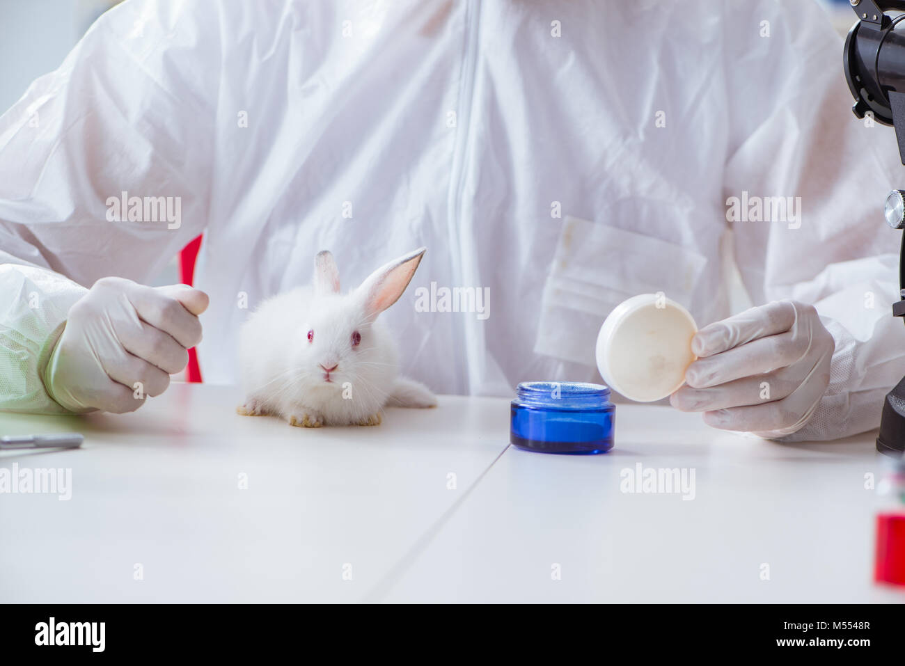 White rabbit in scientific lab experiment Stock Photo - Alamy