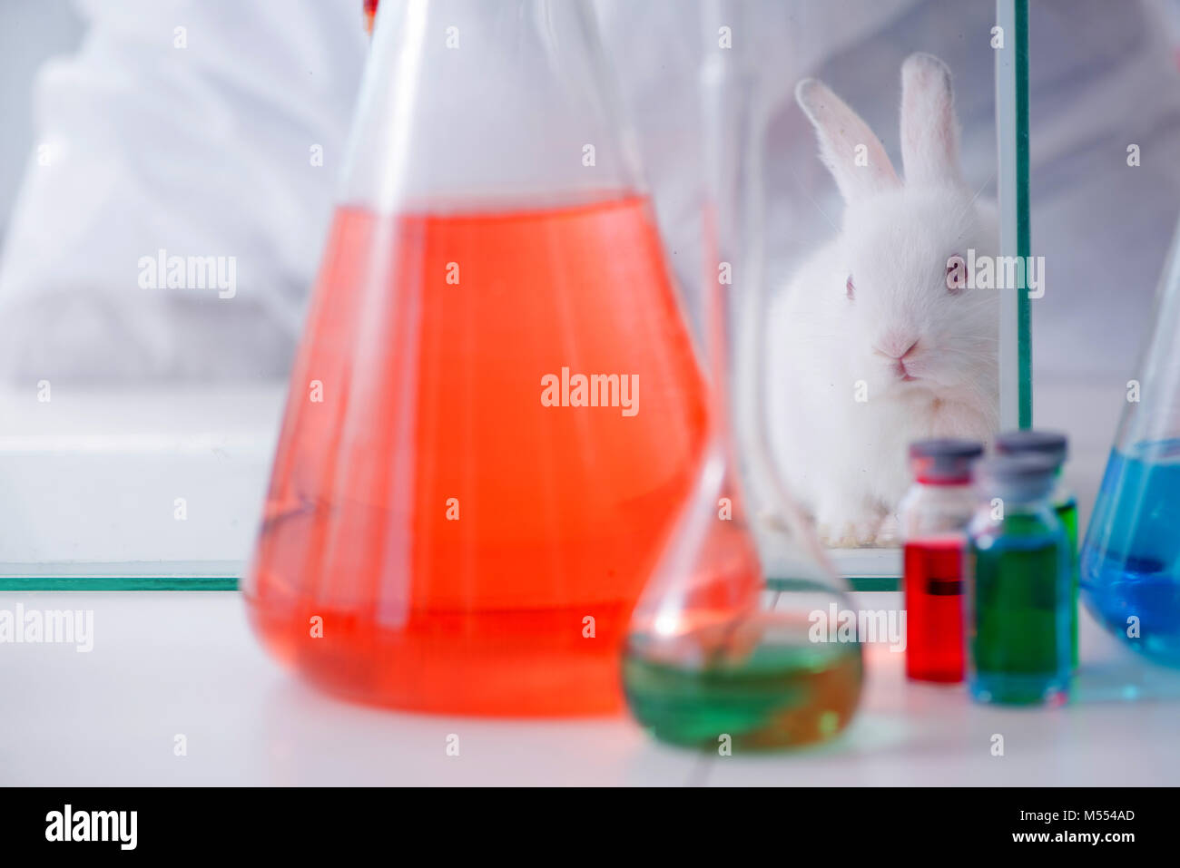 White rabbit in scientific lab experiment hi-res stock photography and ...