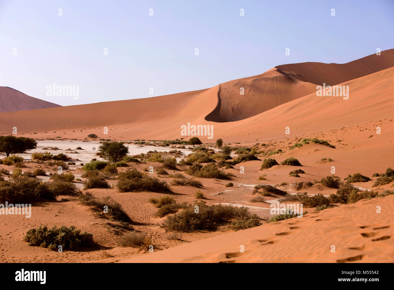 Sand dunes in Namib-Naukluft Park, Namib Desert, Namibia, South Africa ...