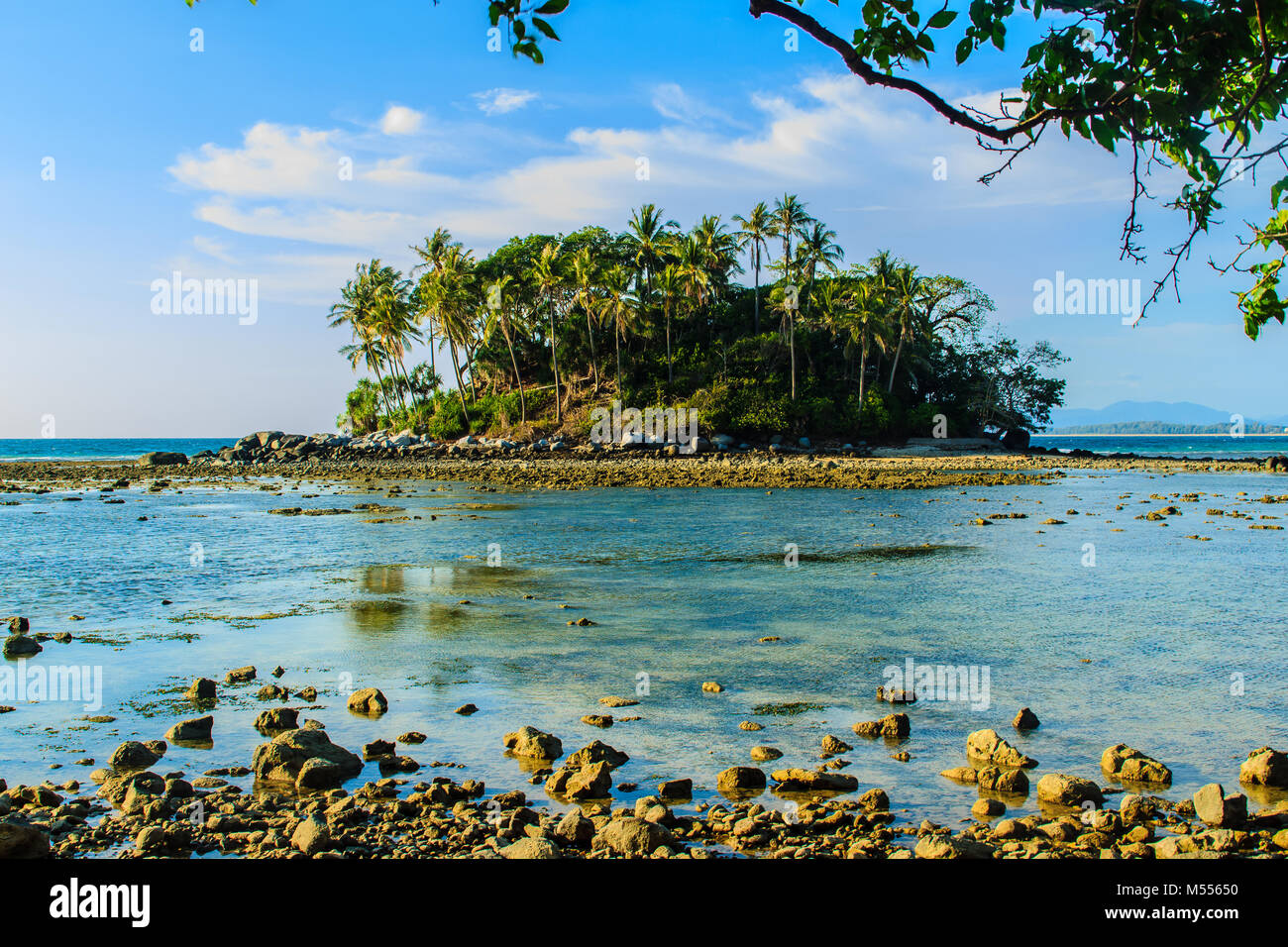 Lonely remote island with rock beach and tree when the sea water ...