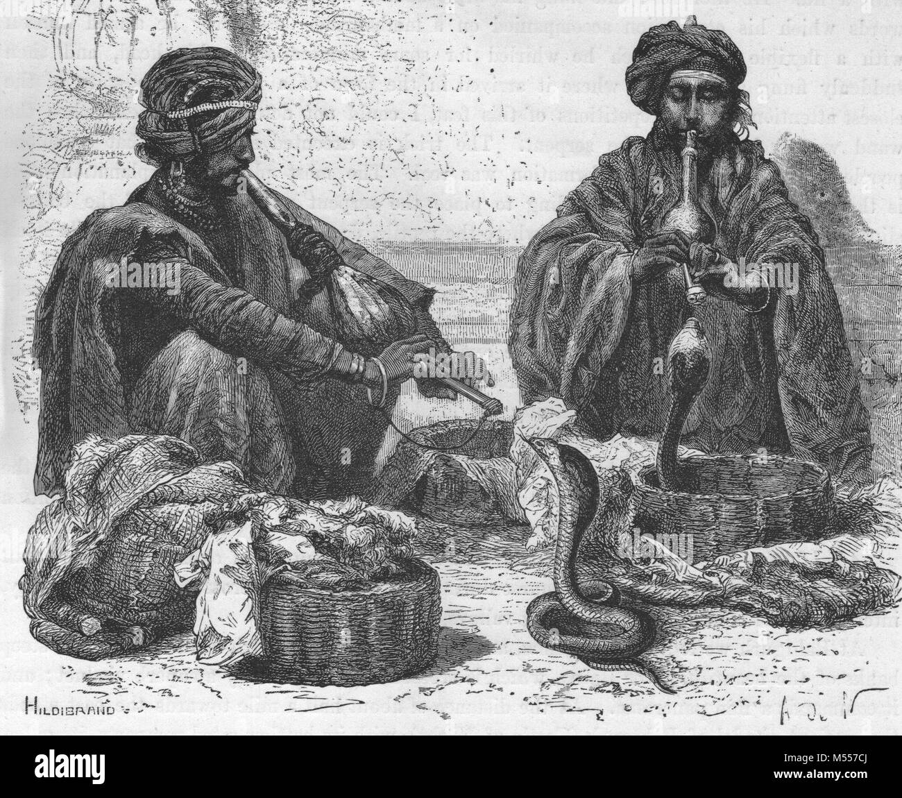 Snakes of india Black and White Stock Photos & Images - Alamy