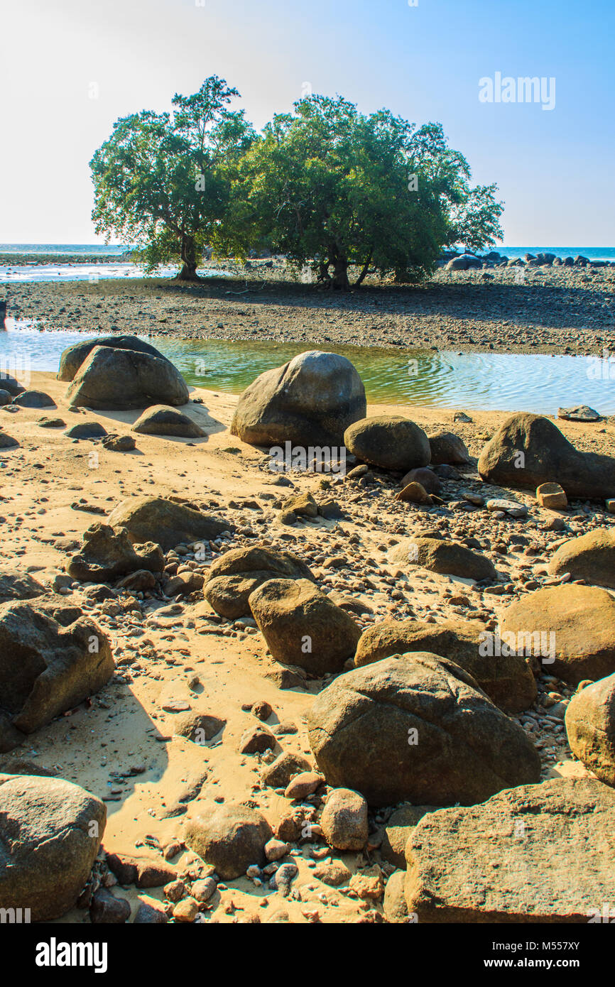 Lonely remote island with rock beach and tree when the sea water ...