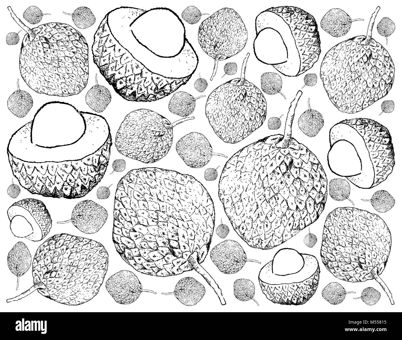 Lychee background Black and White Stock Photos & Images - Alamy