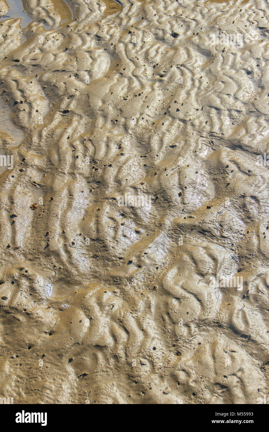 Exotic and beautiful wave pattern on the sand in the beach after sea ...