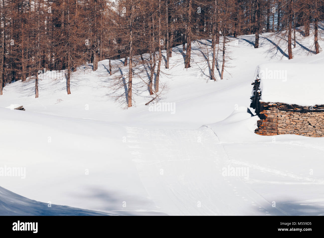 Snowy old cottage in the forest on winter season - white space Stock ...