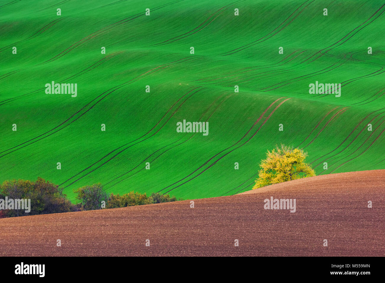 Famous moravian fields - Czech Republic Stock Photo - Alamy
