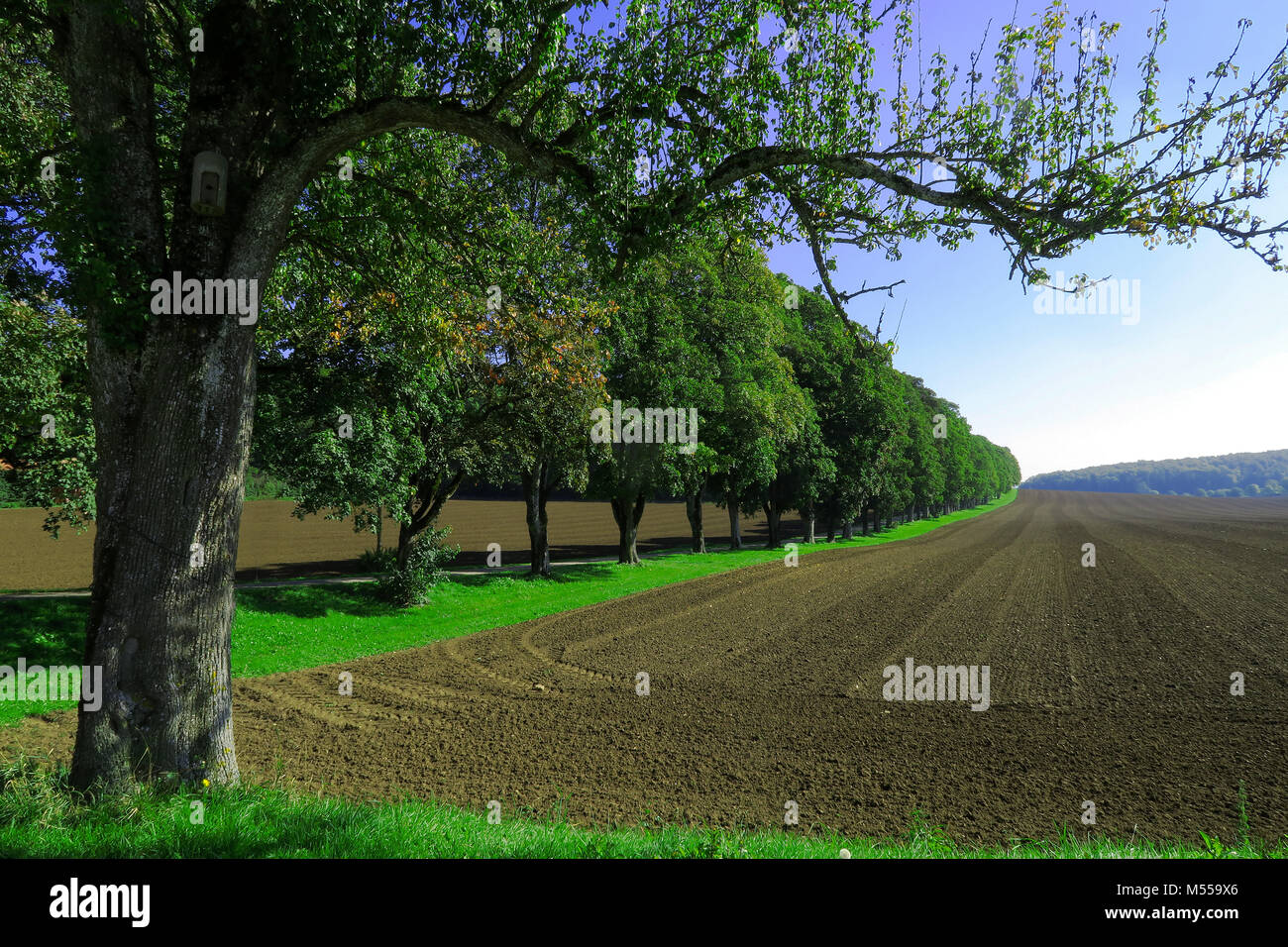 Swabian uplands hi-res stock photography and images - Alamy