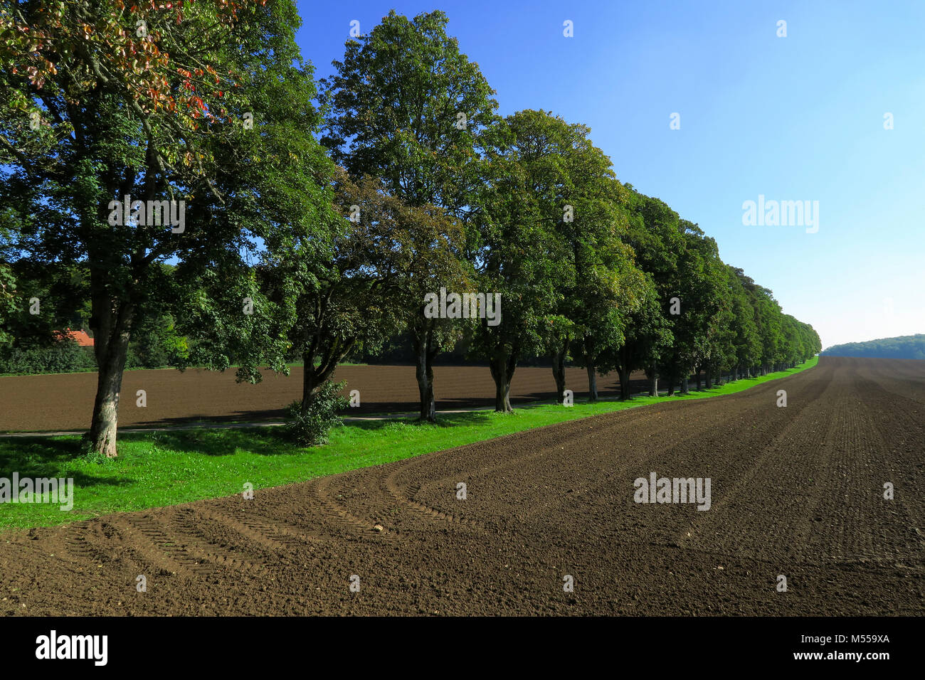 Swabian uplands hi-res stock photography and images - Alamy