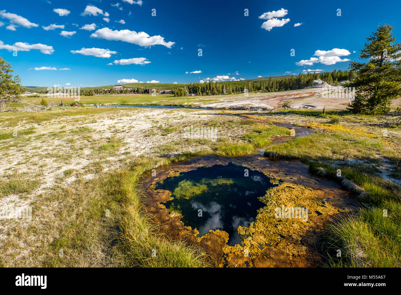 Hot thermal spring in Yellowstone Stock Photo - Alamy