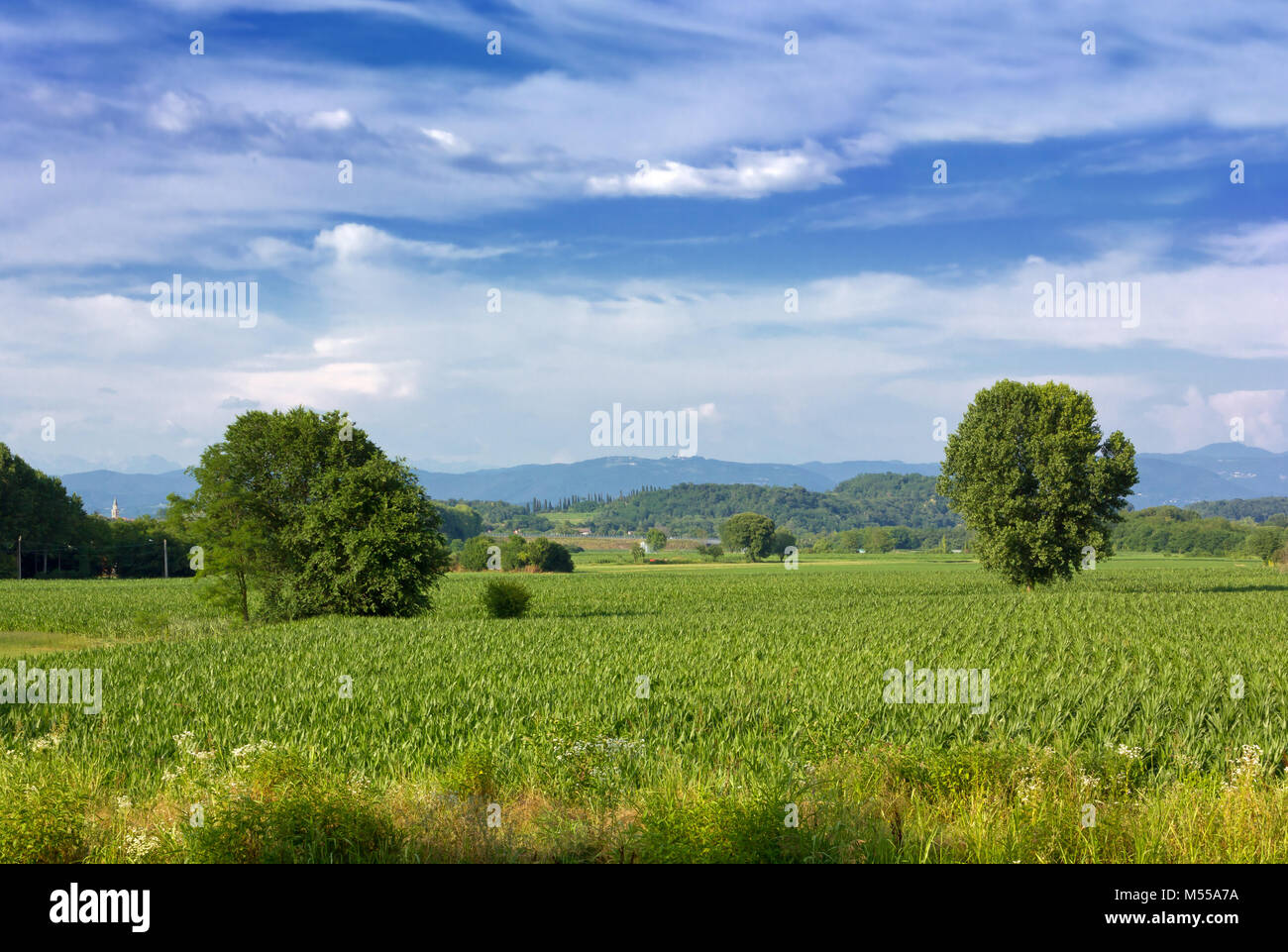 Plain landscape hi-res stock photography and images - Alamy