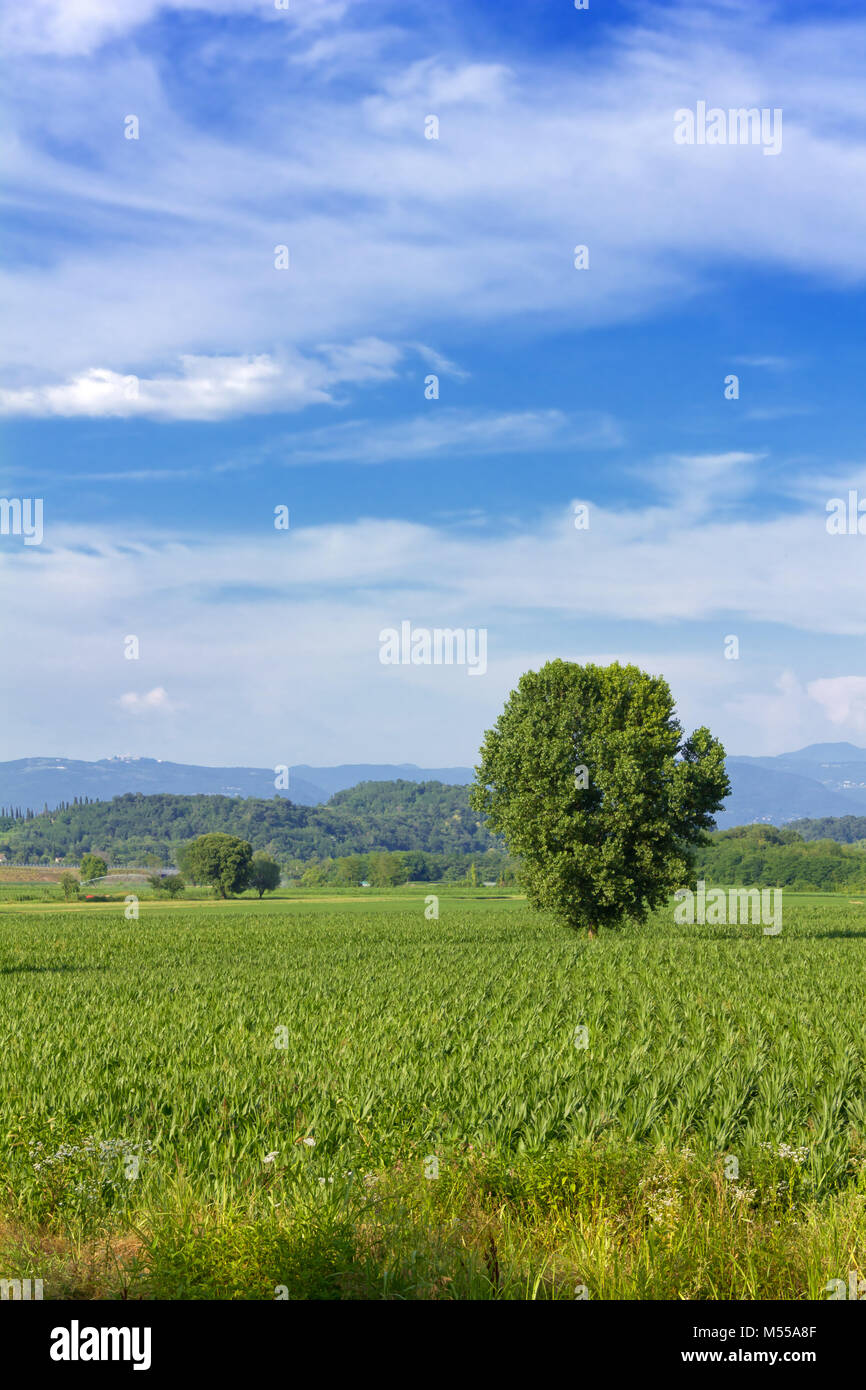 Plain landscape hi-res stock photography and images - Alamy