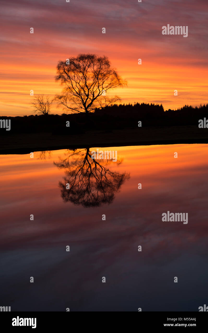 Sunset at Green Pond on Fritham Plain in the New Forest, Hampshire, UK ...