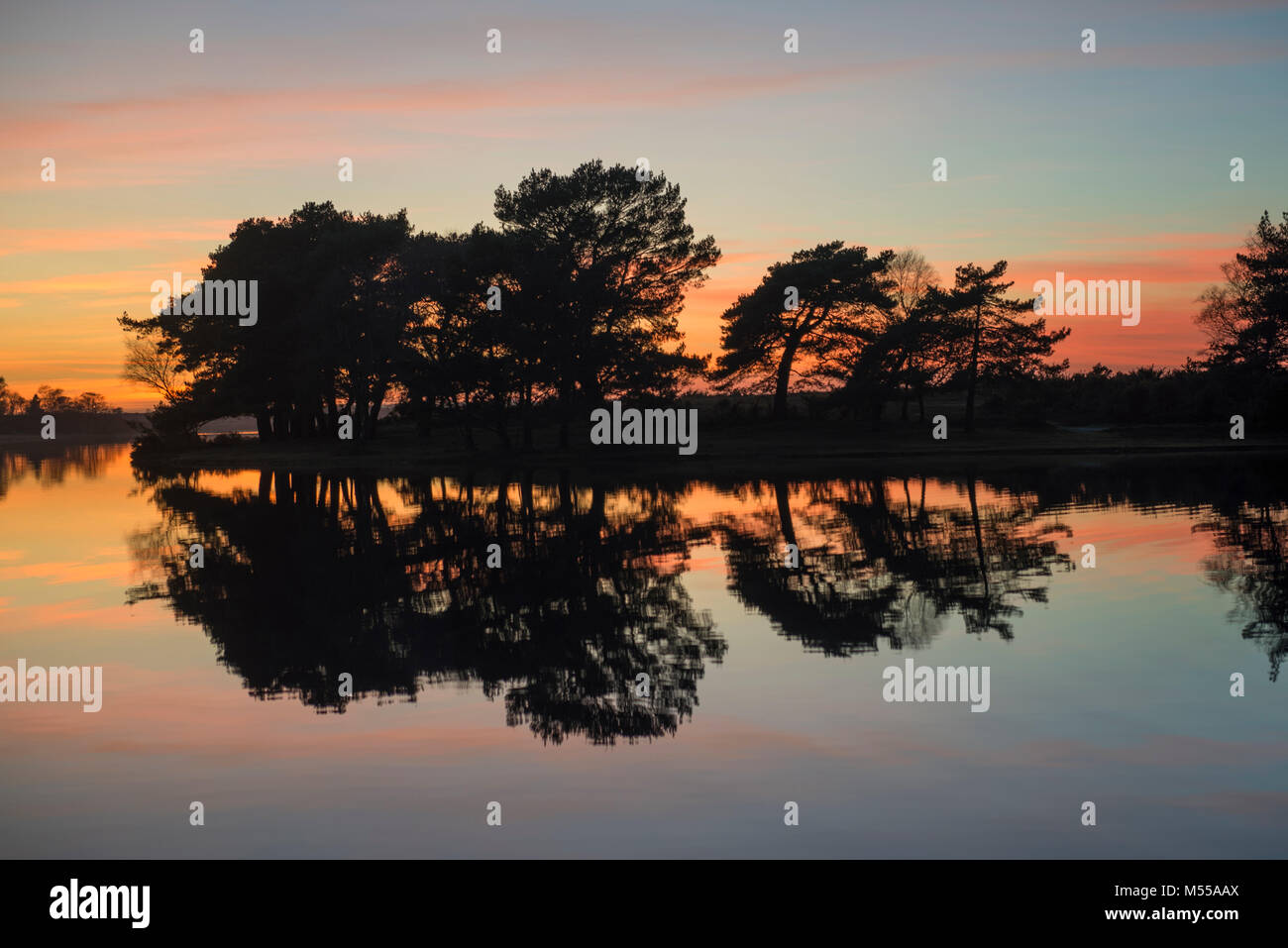 Sunset at Hatchet Pond near Beaulieu in the New Forest, Hampshire ...