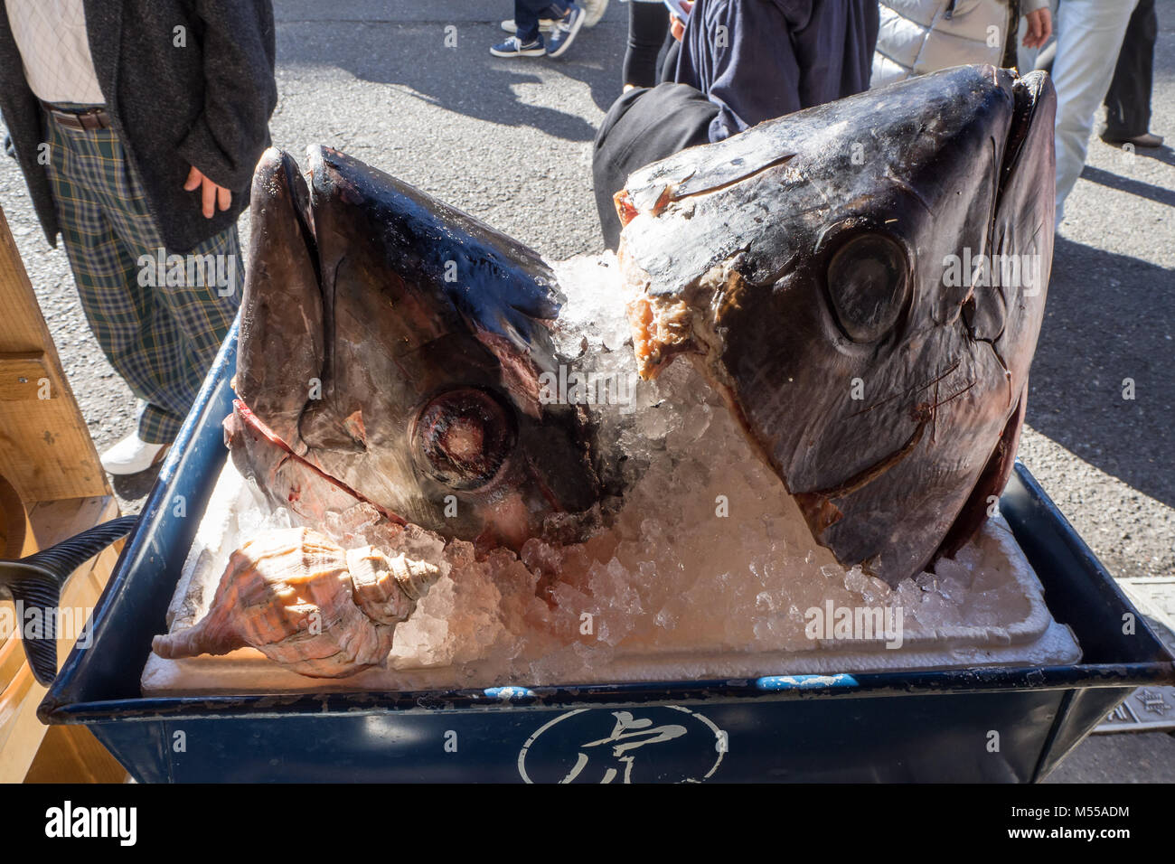 Two big fish head on ice at Tsukji Market, Tokyo, Japan Stock Photo - Alamy
