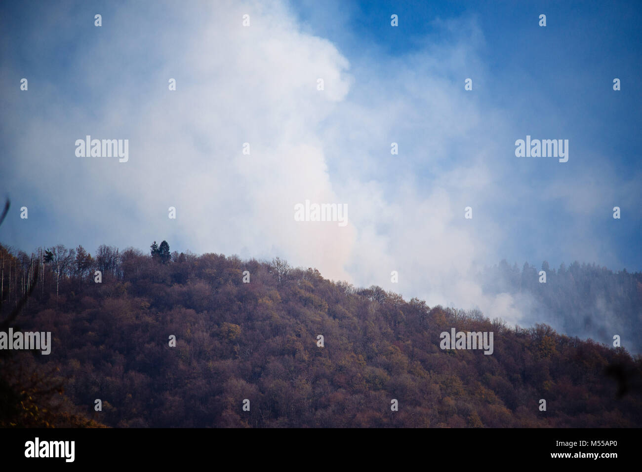 forest with a lot of smoke caused by forest fire Stock Photo - Alamy