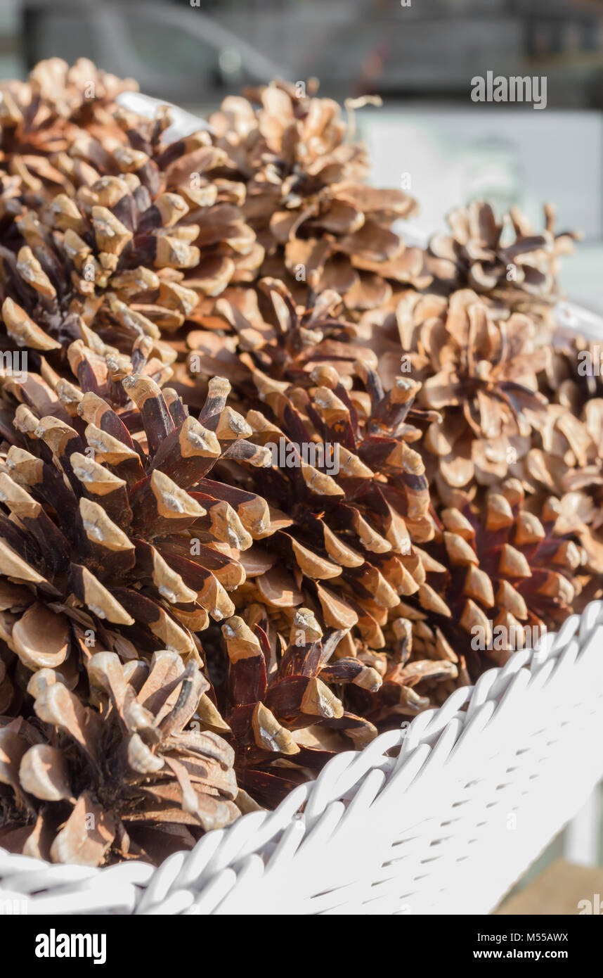 Pine cones in basket Stock Photo - Alamy