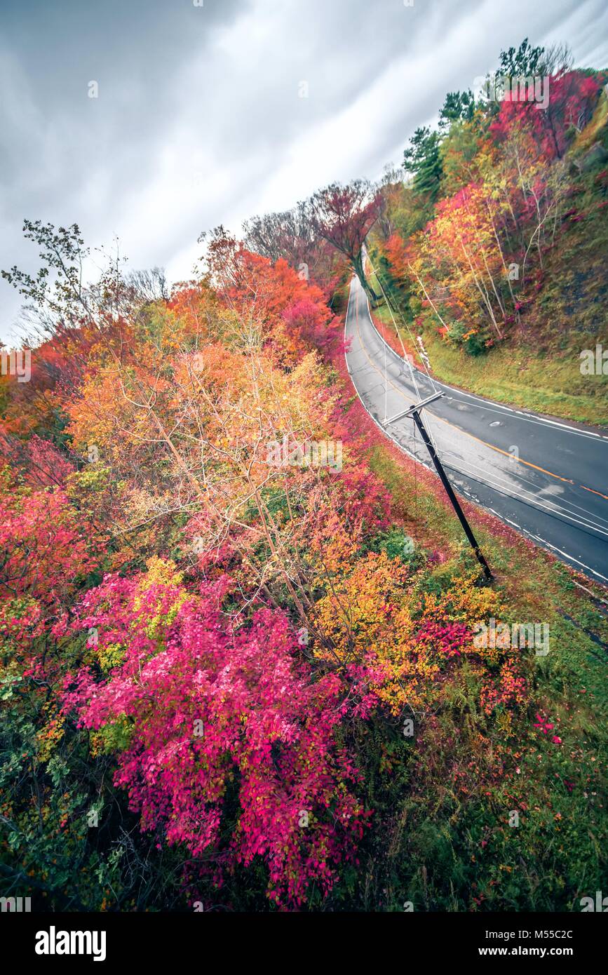 autumn season and color changing leaves season Stock Photo - Alamy