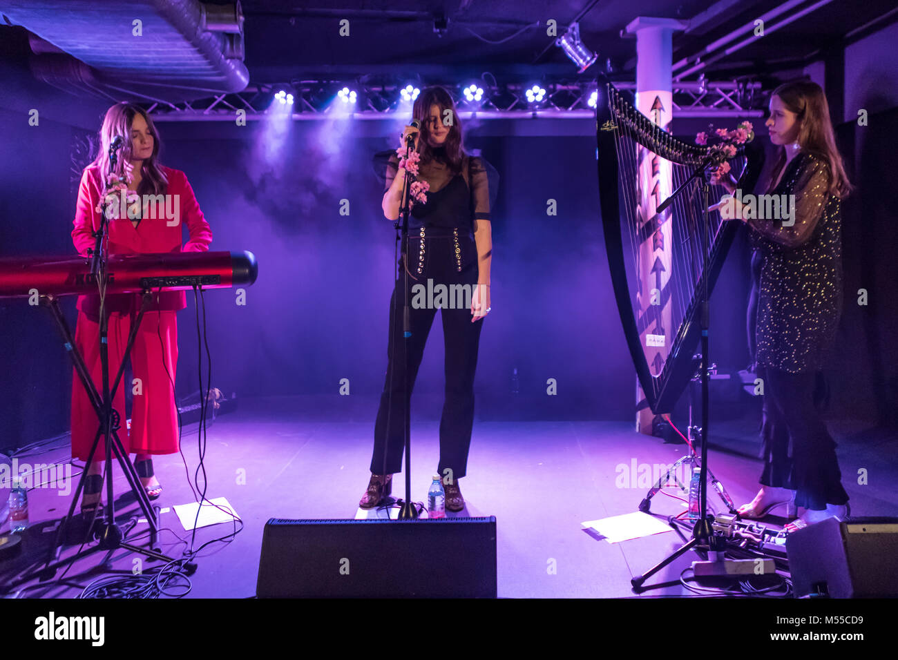 Paradisia High Resolution Stock Photography and Images - Alamy