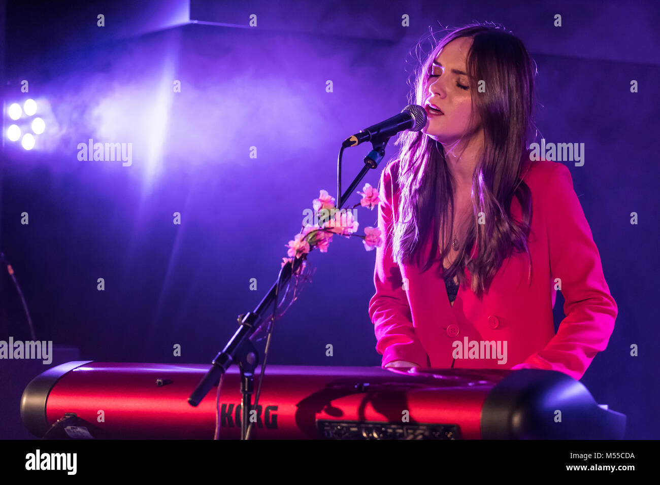 Paradisia britische hi-res stock photography and images - Alamy