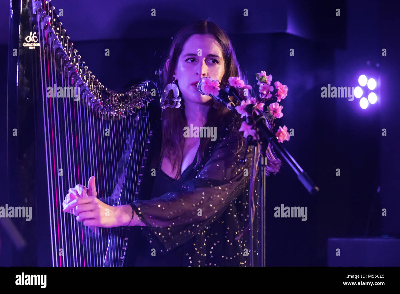 Paradisia british hi-res stock photography and images - Alamy