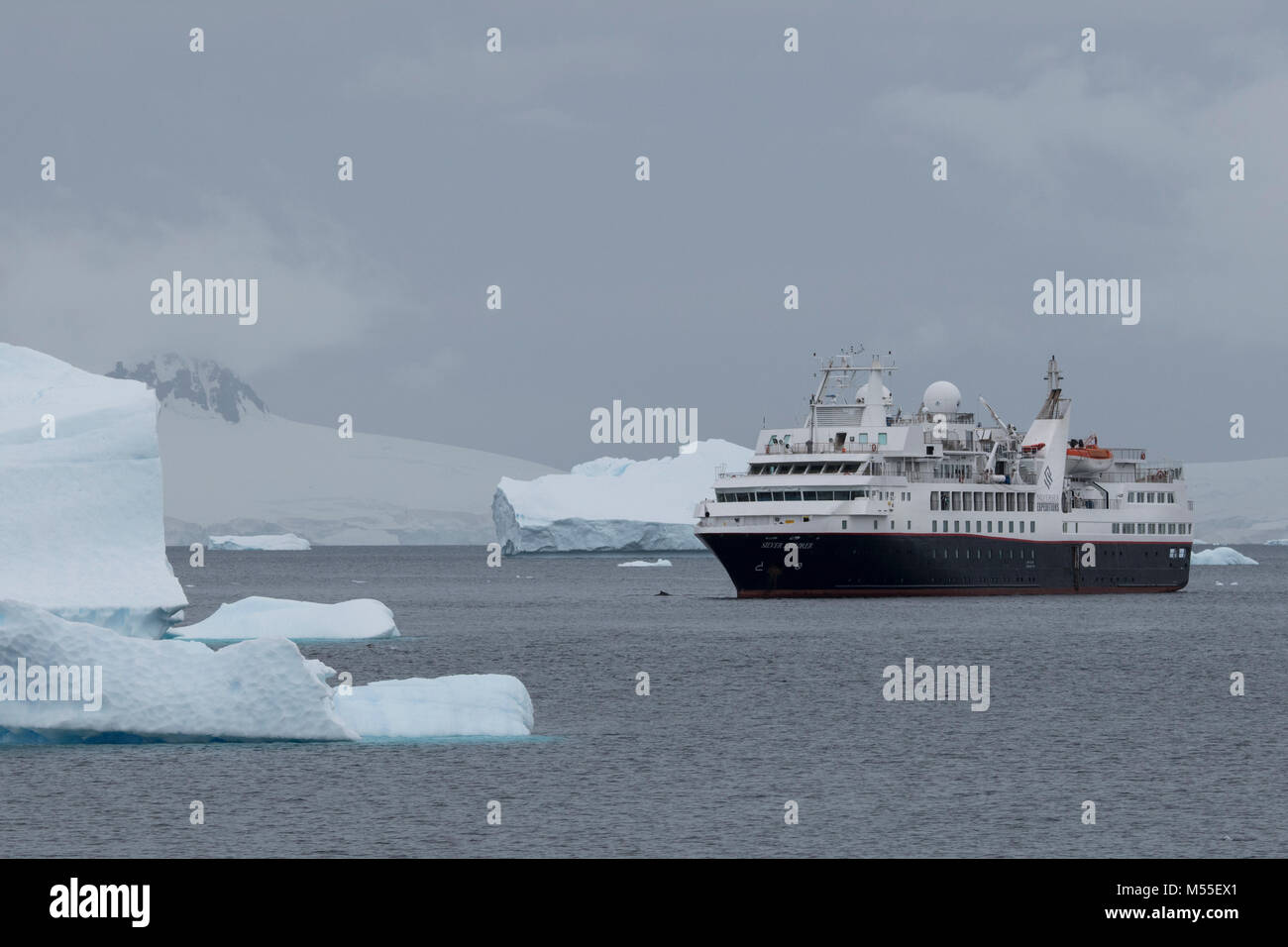 Antarctica, Cuverville Island. Silversea expedition ship, Silver ...