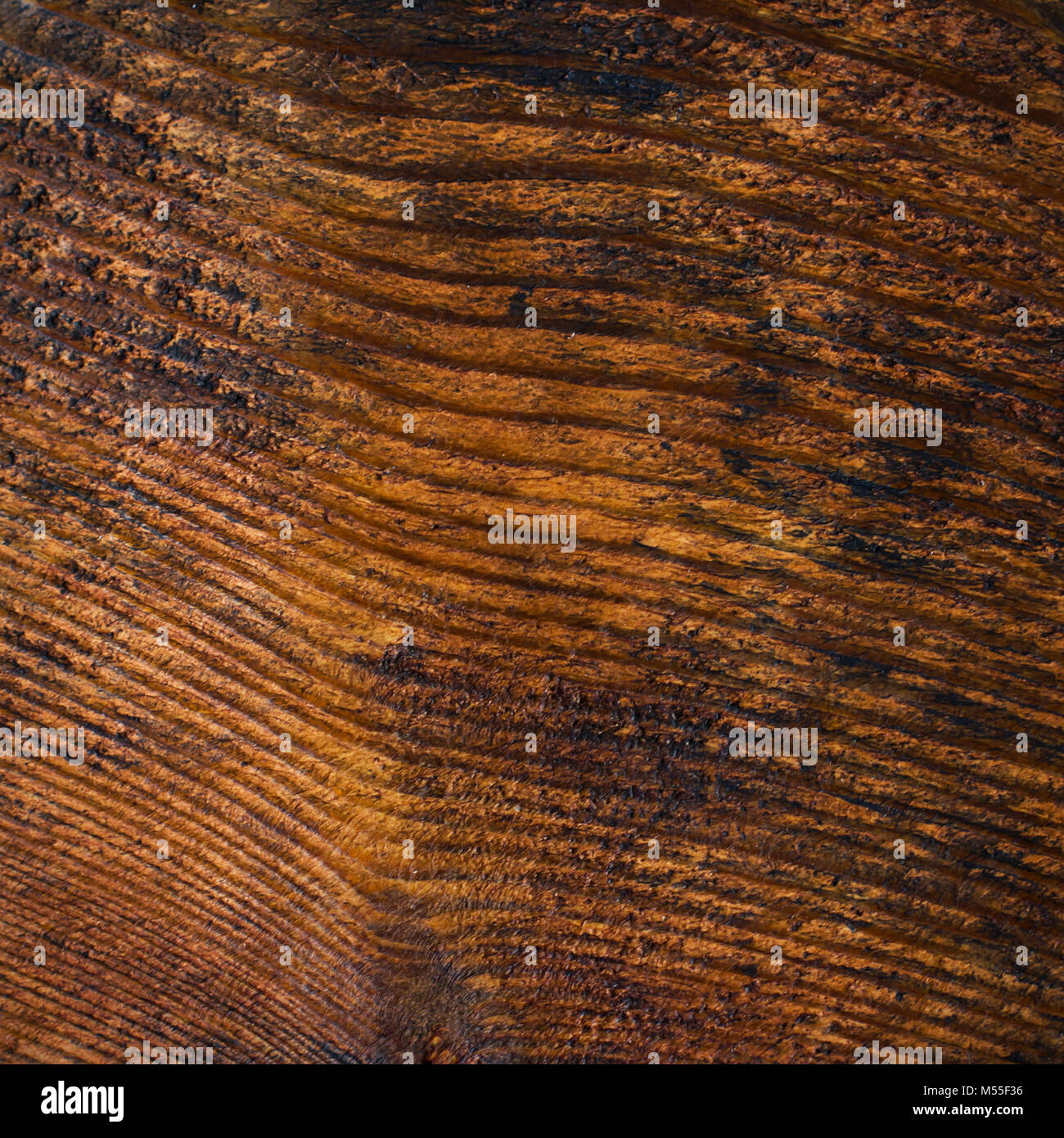 Wooden background covered with stain and varnish Stock Photo - Alamy