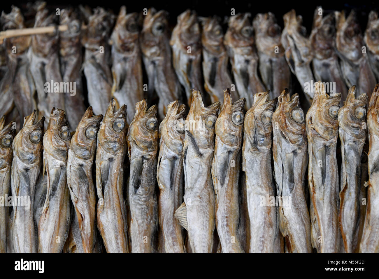 20 Febuary 2018, South Korea, Samcheok, Olympics: Dried fish are ...