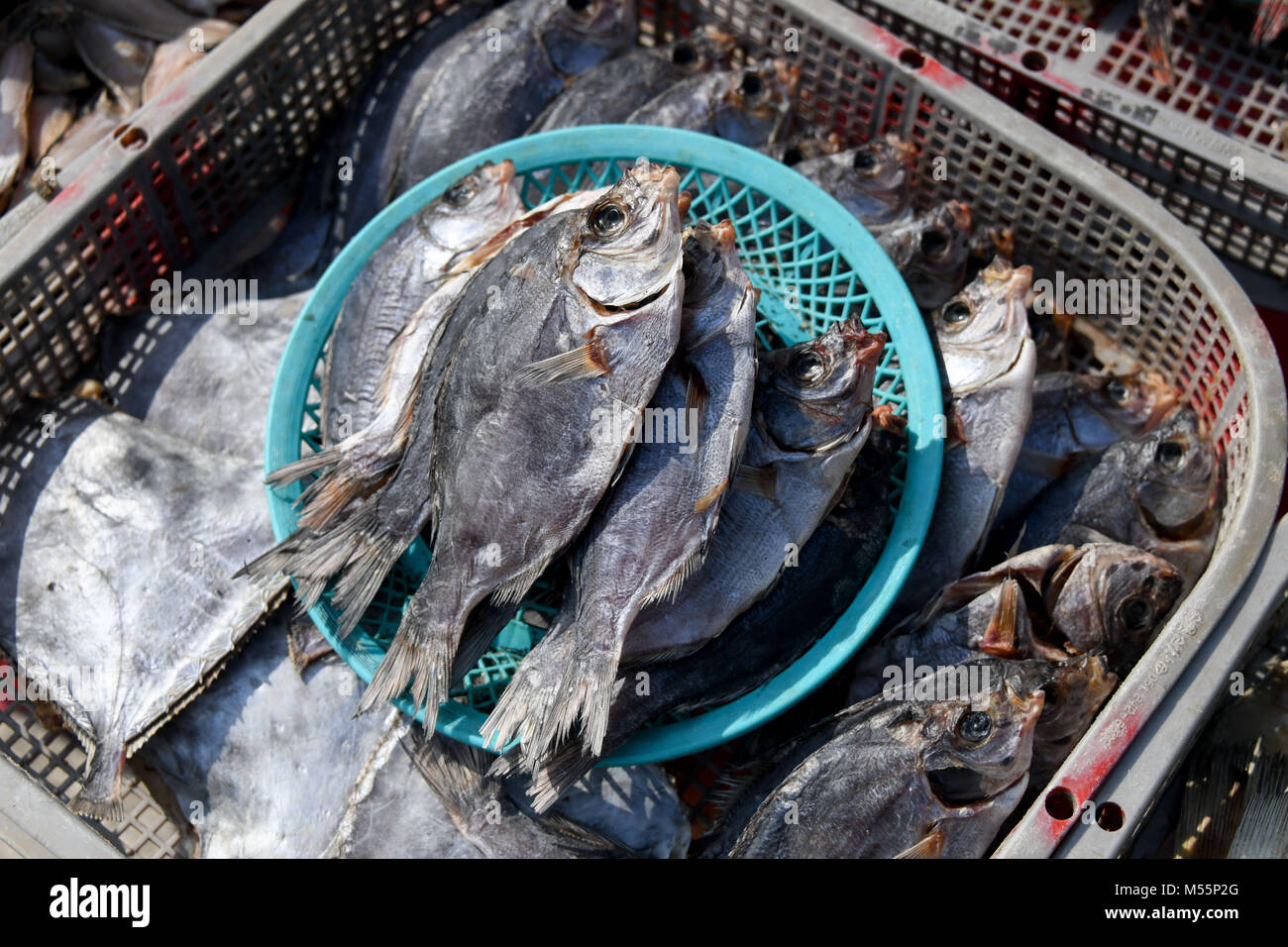 20 Febuary 2018, South Korea, Samcheok, Olympics: dried fish are ...