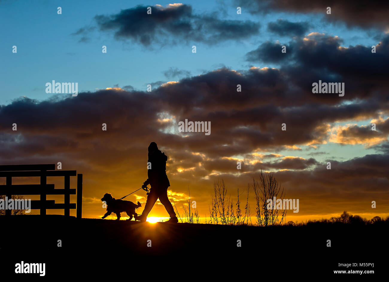 Bolton, Lancashire, UK. 20th February, 2018. A glorious golden sunset ...
